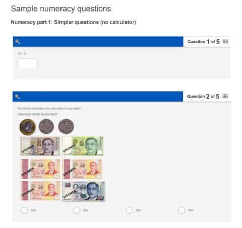 WPLN: All you need to know about Workplace Literacy and Numeracy test ...